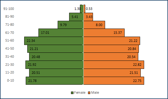 Simple 8 Steps To Create A Population Pyramid Chart In Excel Template 